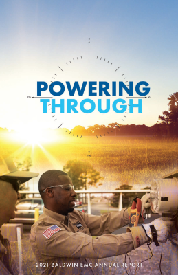 Annual Report | Baldwin EMC